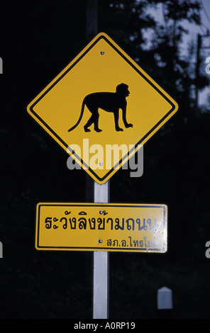 beware monkey road sign Thailand Stock Photo - Alamy