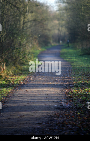 Public footpath sign point through a cow field Stock Photo - Alamy