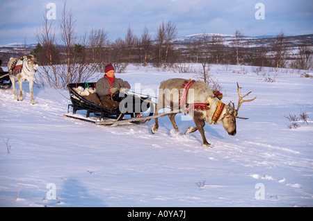 transport / transportation, sledges, sledge transport on the polar ...