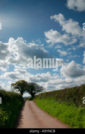 April lane Exe Valley Devon Stock Photo - Alamy