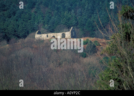 Margam Abbey, Wales, UK Stock Photo - Alamy