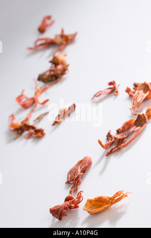 Close up of blades of dried mace, the aril (lacy covering) of nutmeg ...