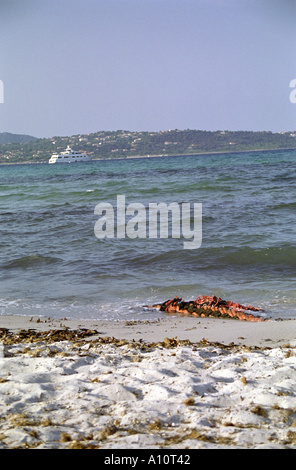 Beach at Pinarellu, Corse Stock Photo - Alamy