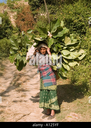 Indigenous women walking, carrying large sacks on backs; heavy load ...