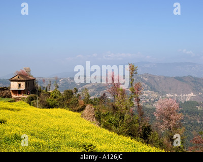 Farming, Himalayan Foothills, Kathmandu Valley, Nepal, Asia Stock Photo ...