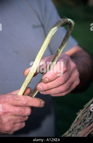 Making the traditional thatching spars from split hazel wood Stock ...