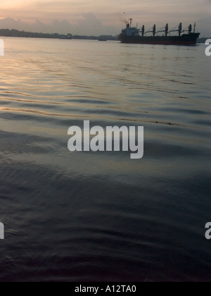 The cargo boat "Ocean" is laden with a load of timber logs being ...
