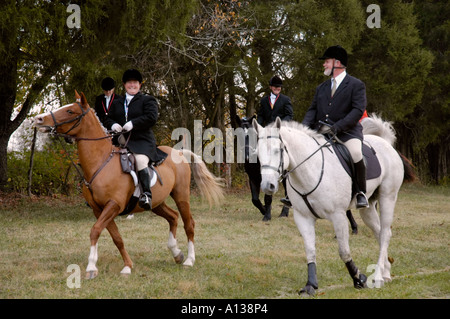 Mounted riders on way to the fox hunt Stock Photo - Alamy