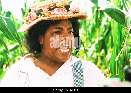 The color purple 1986 Steven Spielberg Whoopi Goldberg Stock Photo - Alamy