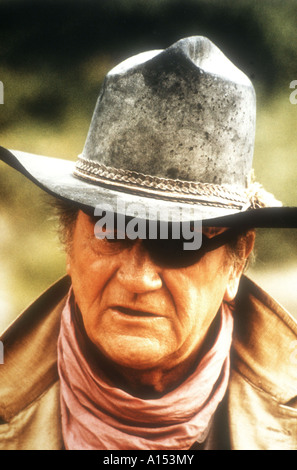 Rooster Cogburn Year 1975 Director Stuart Millar John Wayne Stock Photo ...