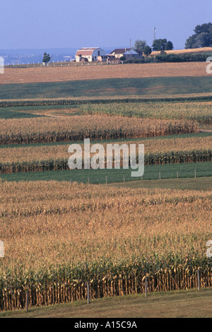 Lancaster County Pennsylvania USA corn fields and farms near Gap PA ...