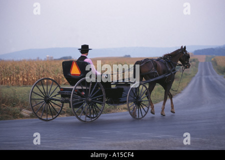 Amish Horse Drawn Open Buggy, Ashville Road, Pine Grove Covered Bridge ...