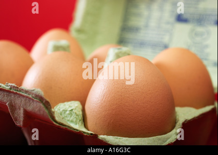An eggbox of British free-range eggs, with the British Lion stamp on ...