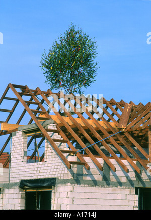 At the construction site of a residential house, the topping-out was ...