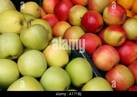 The price of apples. The rise in the price of apples. Increase in ...