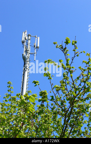 TV Live News Program: Charismatic White Male Presenter Reporting ...
