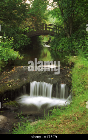 Japanese Gardens Stobo Castle Scotland Stock Photo - Alamy