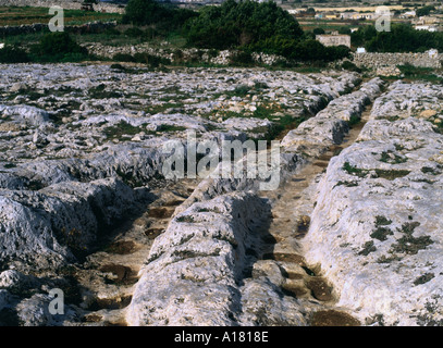 Malta cart-ruts at 'Clapham Junction', near Dingli, hundreds of ...