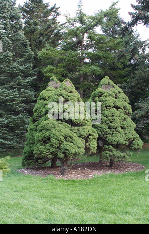 Arboretum Park Lisle Illinois USA. Autumn time. Tree Stock Photo - Alamy