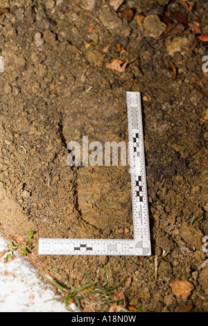 Forensic ruler by shoe print Stock Photo - Alamy