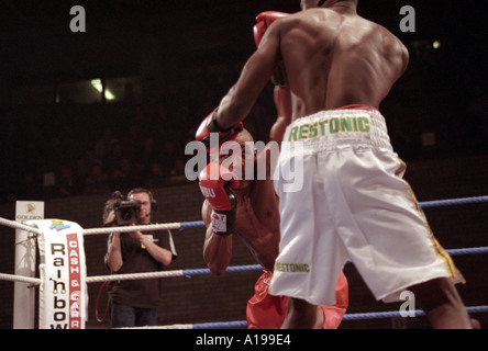 Boxing Steve Robinson Stock Photo - Alamy