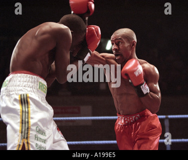 Boxing Steve Robinson Stock Photo - Alamy