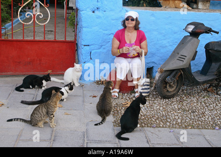 People are feeding cats Stock Photo - Alamy