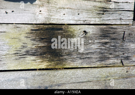 weathered barn wood Stock Photo - Alamy