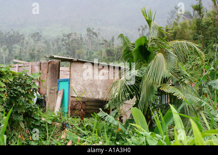 The hills in Northern Grenada Stock Photo - Alamy