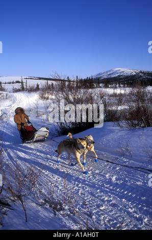 USA Alaska Musher Charlie Boulding rests at Old Woman Cabin 35 miles ...