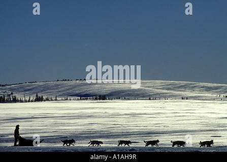 USA Alaska Musher Susan Butcher rests at checkpoint in Iditarod ghost ...