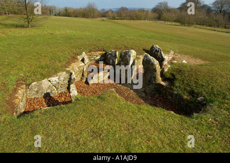 Nymphsfield Neolithic long barrow in the Gloucestershire Cotswolds, UK ...