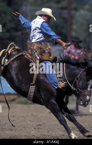 USA California Oakdale Cowboy competes in Calf Roping event at annual ...