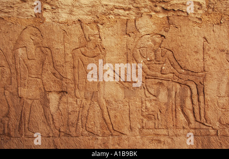 Egypt, Nile Delta, Tanis, relief on the modern processional way to the ...