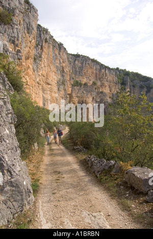 Walkers enjoying the view from Old Pale hill in Delamere forest ...