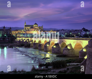 Night view of old roman Bridge of Hadrian and St. Peter's cathedral in ...