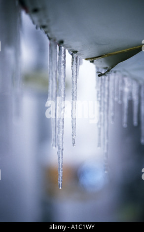 Winter in Soho, Manhattan, New York with a view of snow covering trees ...