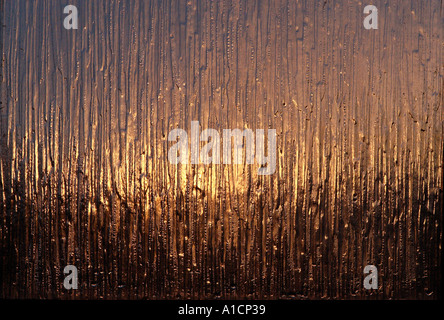 Abstract background sunset through mottled glass 6 Stock Photo - Alamy