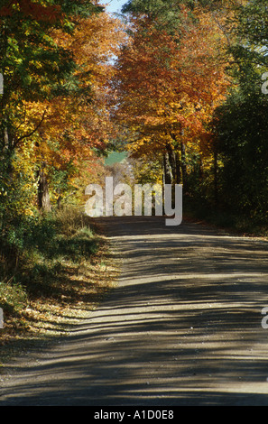 Road and Fall Foliage in Vermont Stock Photo - Alamy