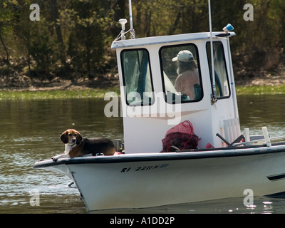 Quahoggers In Rhode Island