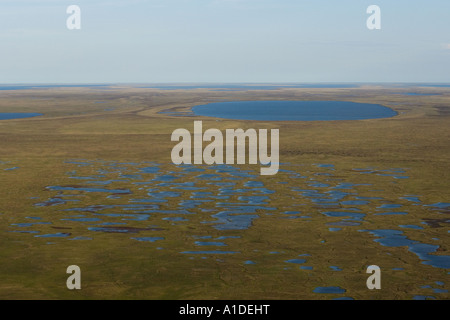 tundra landscape with freshwater ponds off the Colville River National ...