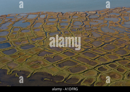 tundra landscape with freshwater ponds off the Colville River National ...