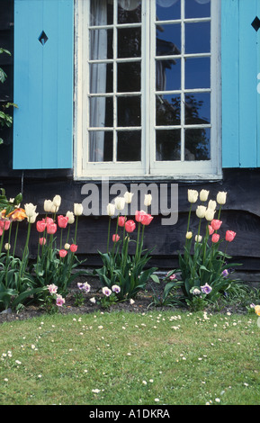 window shutter, planting, window shutters Stock Photo - Alamy