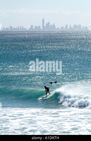 Surfers at Snapper Rocks, Gold Coast, Queensland, Australia Stock Photo ...
