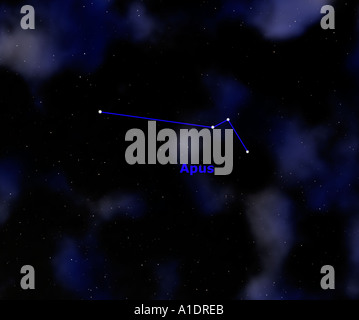 Apus Constellation Showing Name And Sign Stock Photo - Alamy