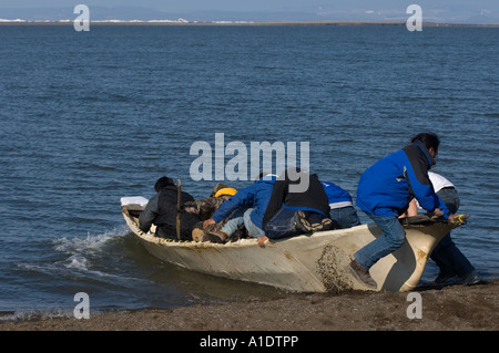 fourth of July umiak skin boat races Arctic coast off Tikigaq Point ...