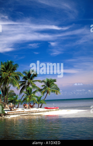 Palm trees under blue sky in Palolem beach, Goa, India Stock Photo - Alamy