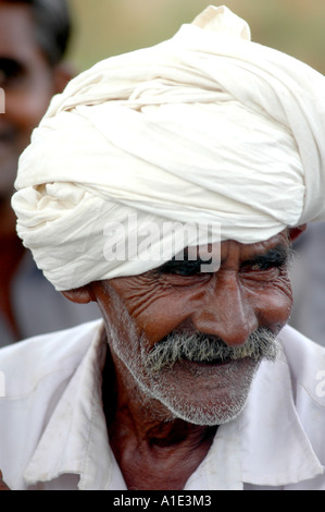 Fairtrade rice farmer, harvesting his crop, northern India Stock Photo ...