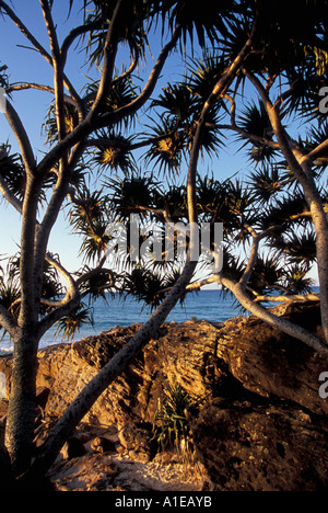 Adder Rock N Stradbroke Island Queensland Australia Stock Photo - Alamy