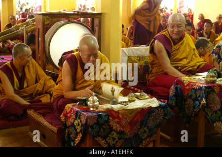 Puja ceremony and high rank tibetan buddhist priest in Phyang Monastery ...